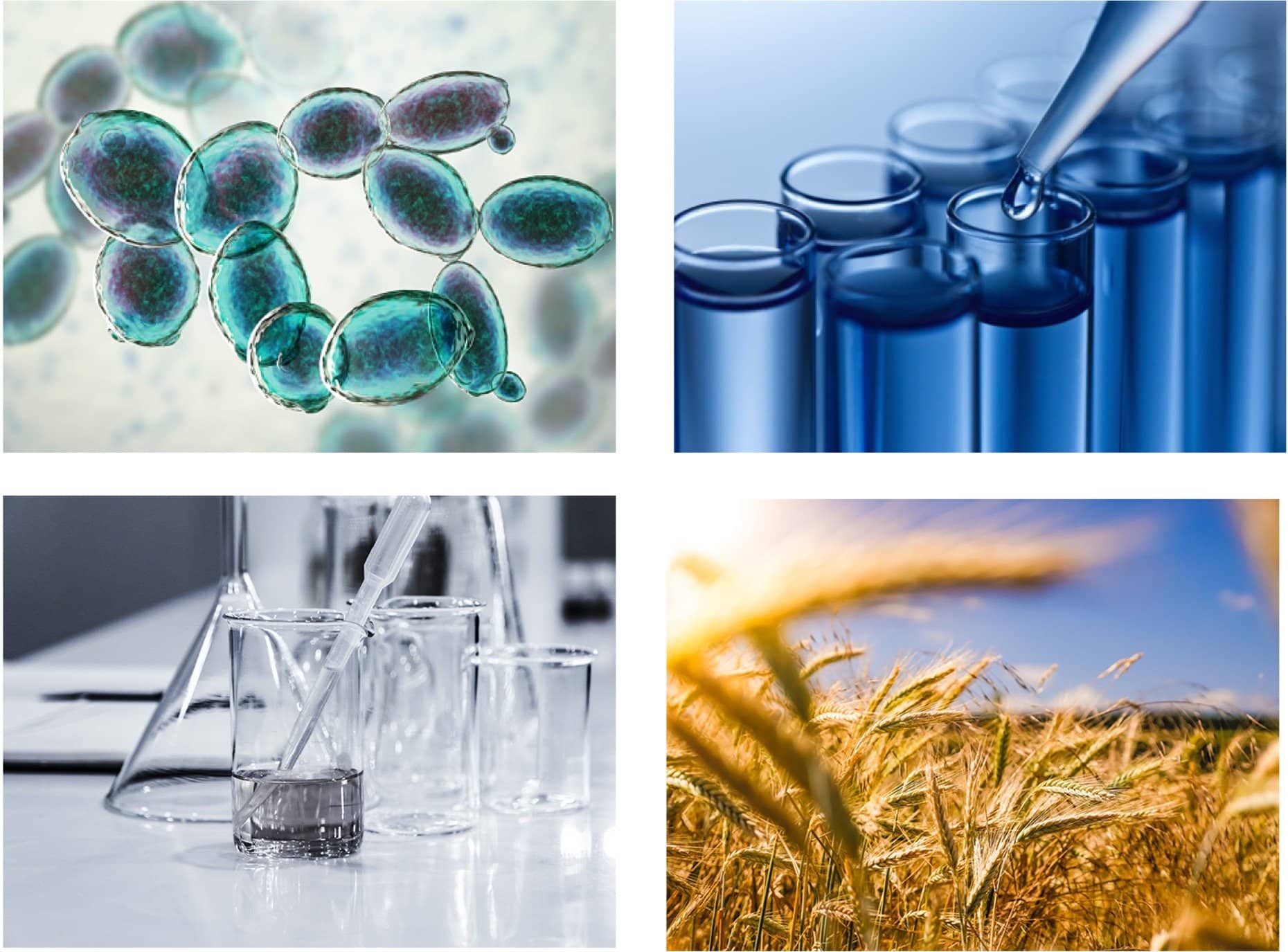 Apply for a CRISPR/Cas9 Licence | ERS Genomics