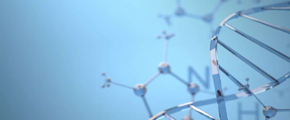 Prime Editing | ERS Genomics