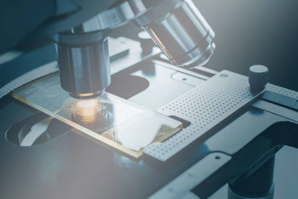 CRISPR/Cas9 Prokaryotes | ERS Genomics