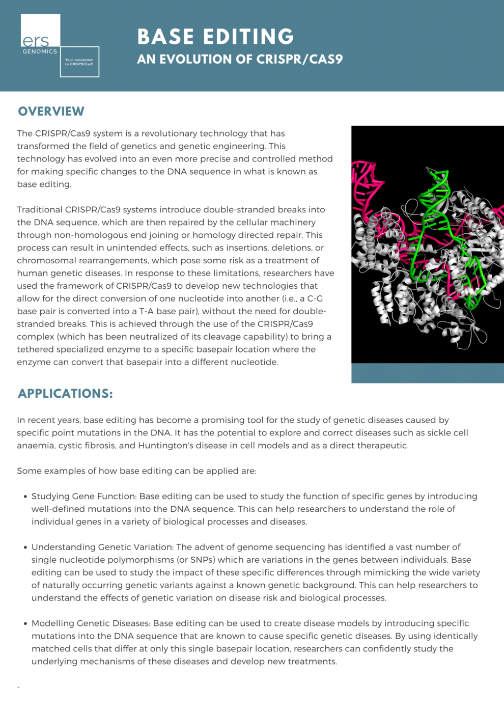 Base Editing | ERS Genomics