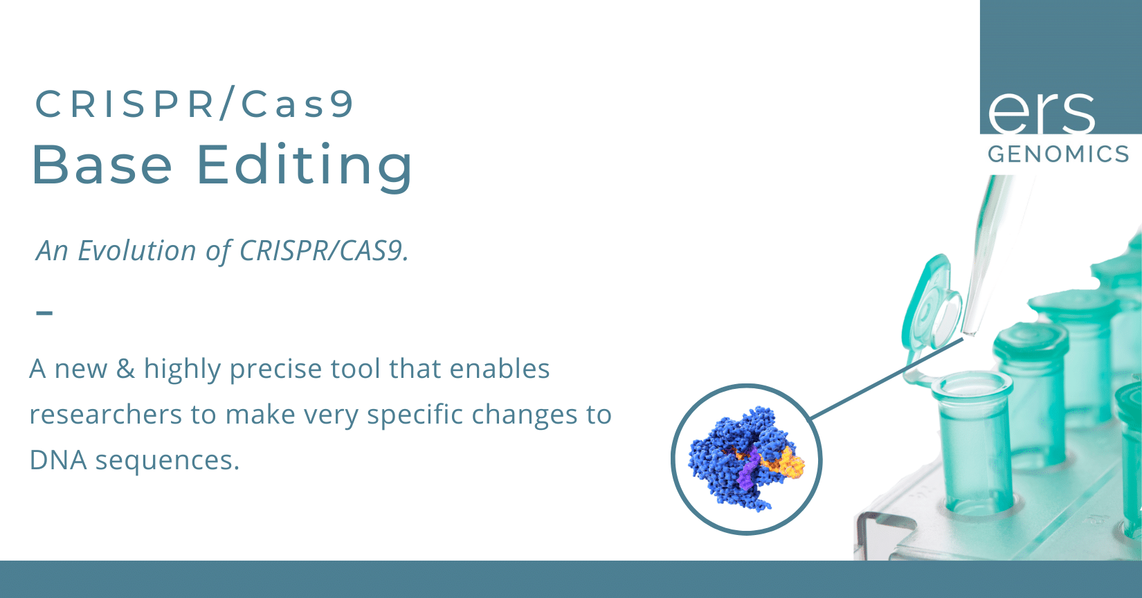 Base Editing | ERS Genomics